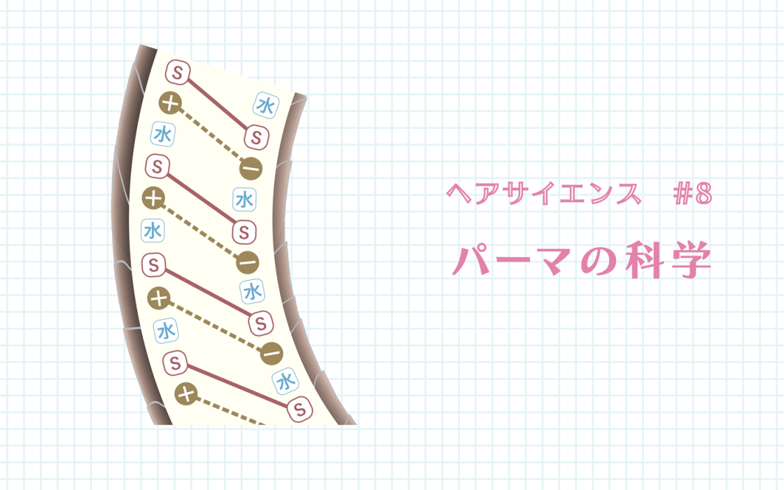 パーマの科学 | ヘアコラム | LABORATORY | LebeL（ルベル）オフィシャルサイト